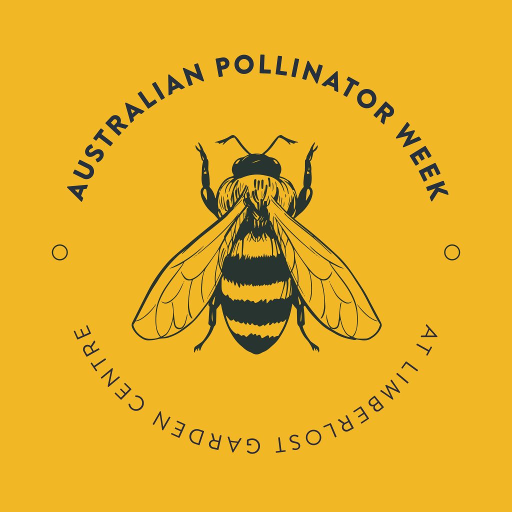 Australian Pollinator week - Limberlost Garden Centre